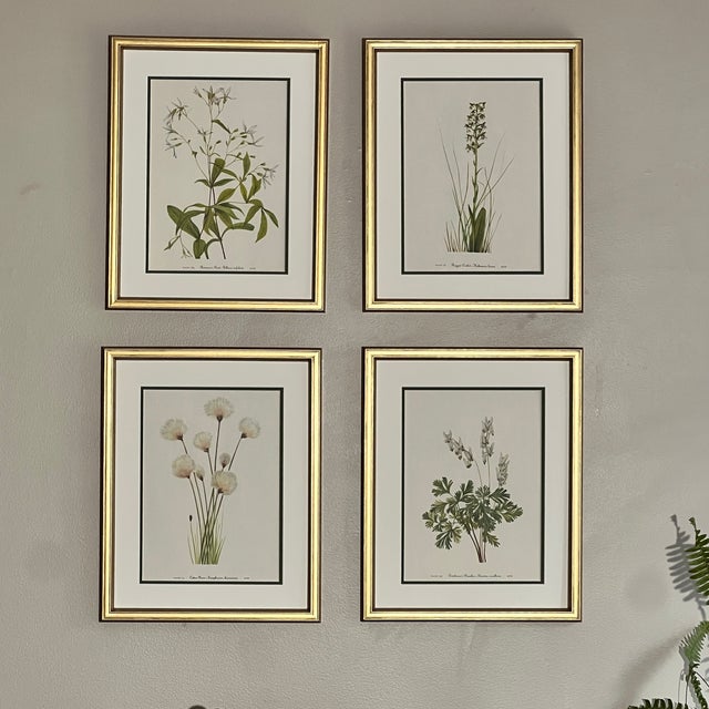 Framed Botanical Prints Set of 4- Authentic 1978 | Chairish