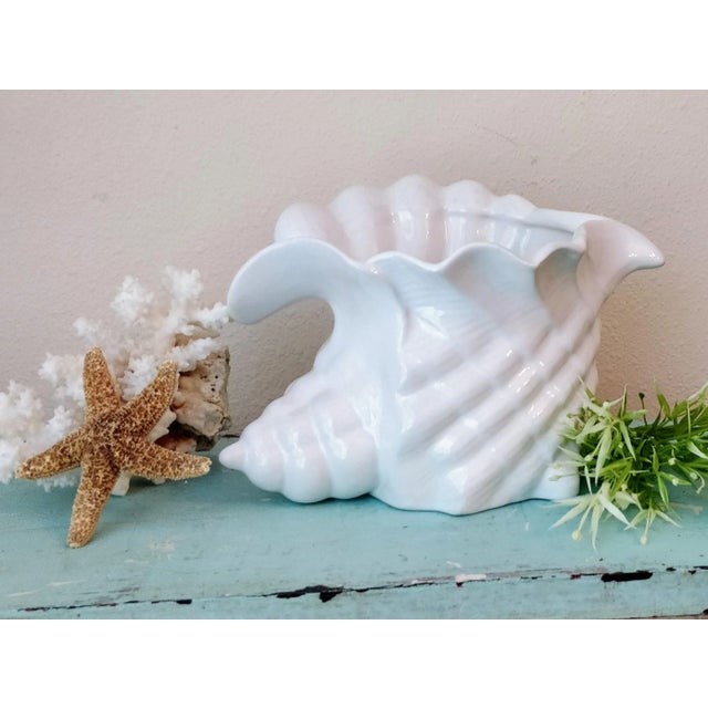 Coastal White Seashell Conch Portugal Planter Beach Shell | Chairish
