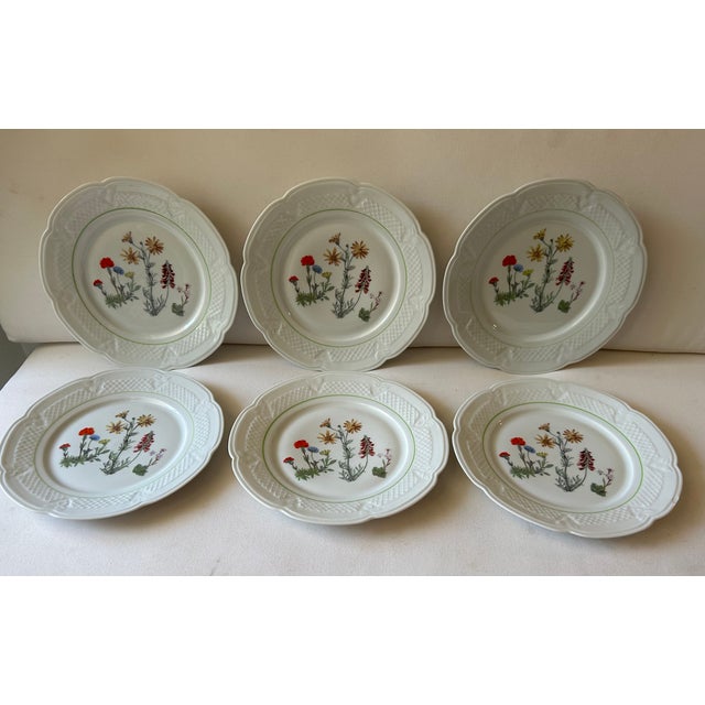 Six Vintage Boho French Country Chic "Wild Flower" Porcelain Dinner ...