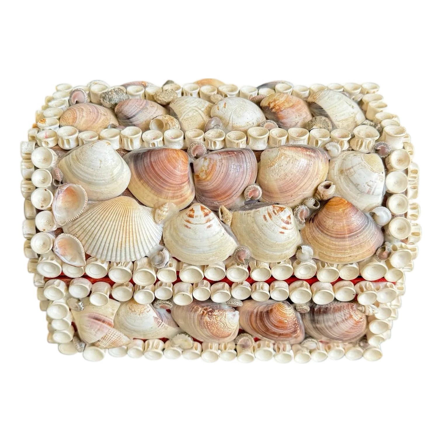 Vintage Seashell Jewelry Box Shell Encrusted Domed Trinket Box | Chairish