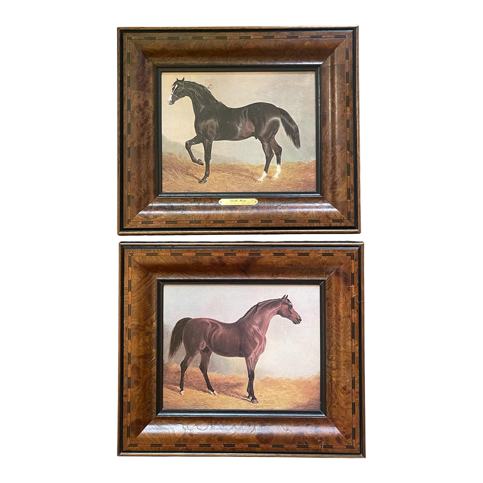 Equestrian Art “Stable Mates” by Benjamin Herring Sr Denunzio ...