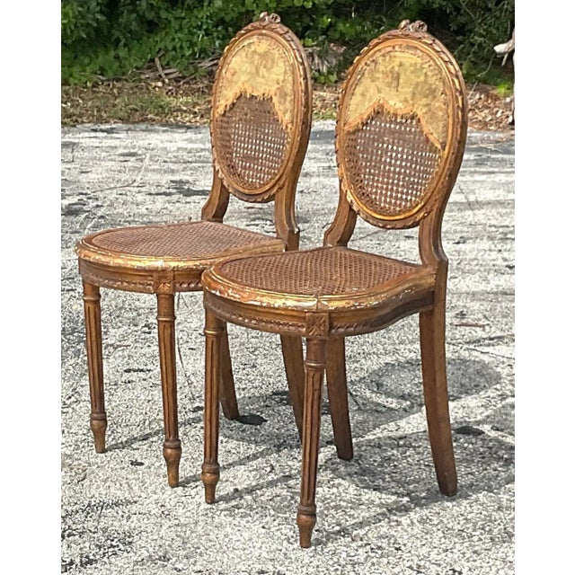 Vintage 18th Century Gesso and Cane Medallion Chairs With Tapestry ...
