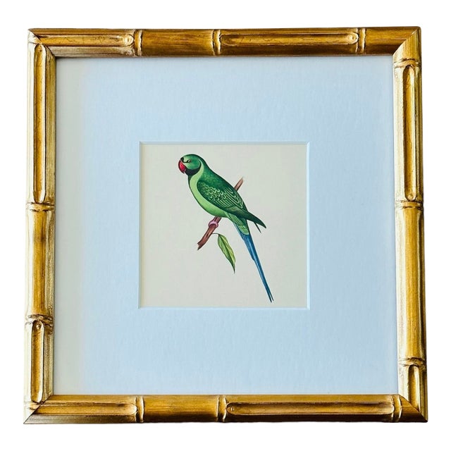 Hand-Painted Parrot Painting in Faux Bamboo Frame | Chairish