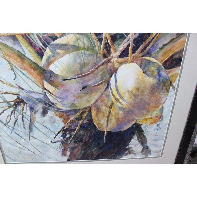Late 20c Barbara Shipman Watercolor Painting "Lots of Coconuts" | Chairish