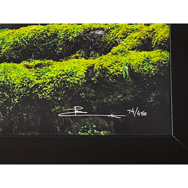 "Pristine" 74/450 Signed Limited Edition by Master Photographer Peter ...