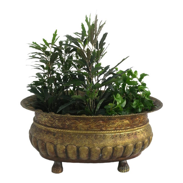 Italian Brass Plant Flower Planter Cachepot Centerpiece With Lion Paw ...
