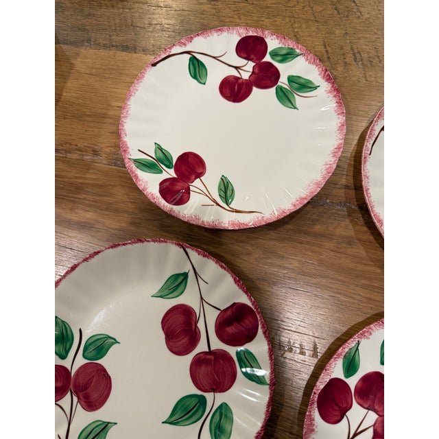 Vintage 1940s Blue Ridge Southern Potteries "Crab Apple" Dinner Plates ...
