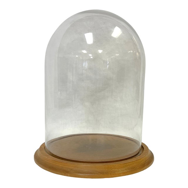 Vintage Glass Display Cloche on Wood Base | Chairish