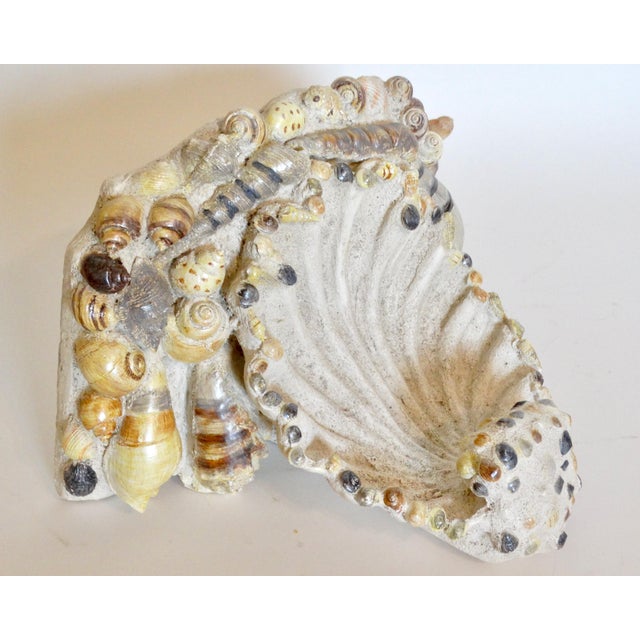 Large Coastal Seashell Encrusted Wall Bracket | Chairish