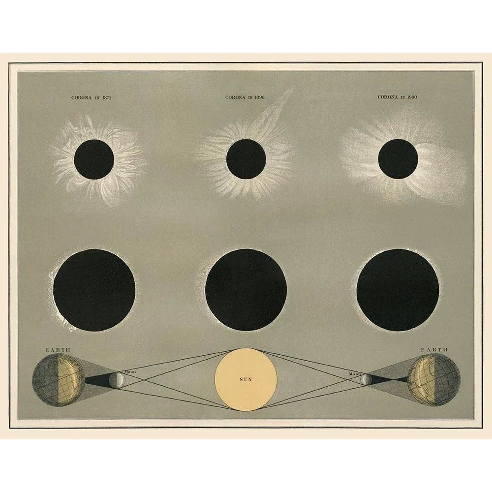 Reproduction Antique Astronomy Print of the Corona Eclipse | Chairish