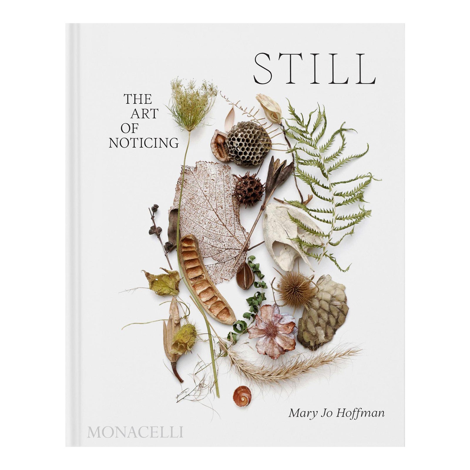 Still: The Art of Noticing Book | Chairish