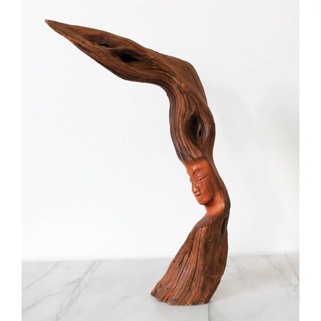 Vintage Hand Carved Tree Root Wood Abstract Art Sculptures S/5 | Chairish