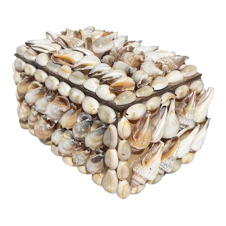Vintage White and Brown Sea Shell Encrusted Rectangular Wood Box With ...