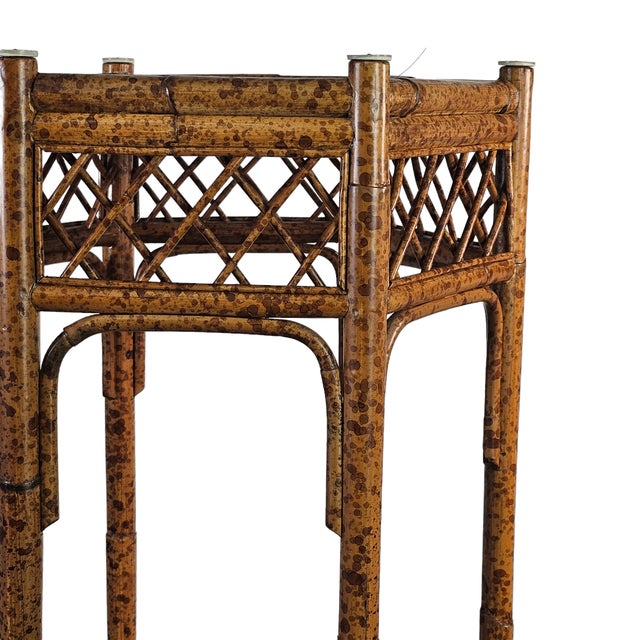 Rattan Tortoise Shell Bamboo Wicker Plant Stands | Chairish