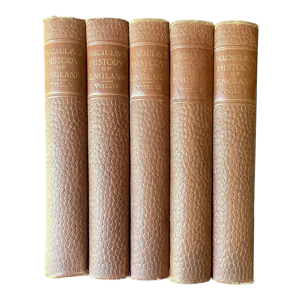1890s Set of Five (5) Books Macaulay’s History of England | Chairish