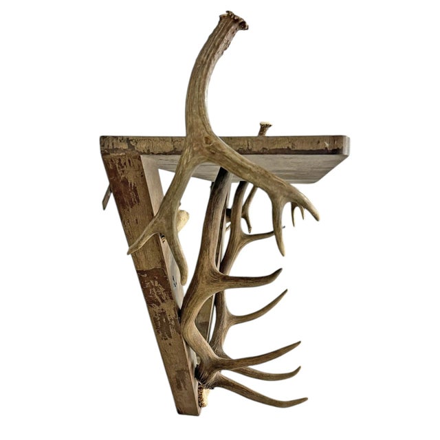 Vintage Elk Antler Hat and Coat Rack With Shelf | Chairish