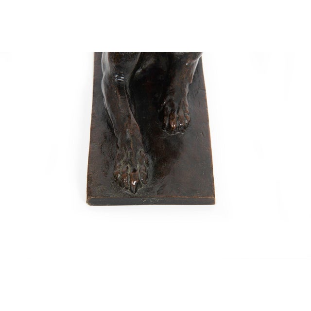 Rare American Sculpture of “Princeton Tiger” by Alexander Phimister ...