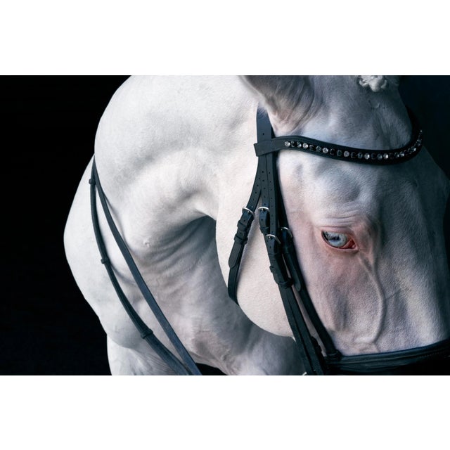 "White Horse, I" Limited Edition Photography Print by Lori Adamski-Peek ...