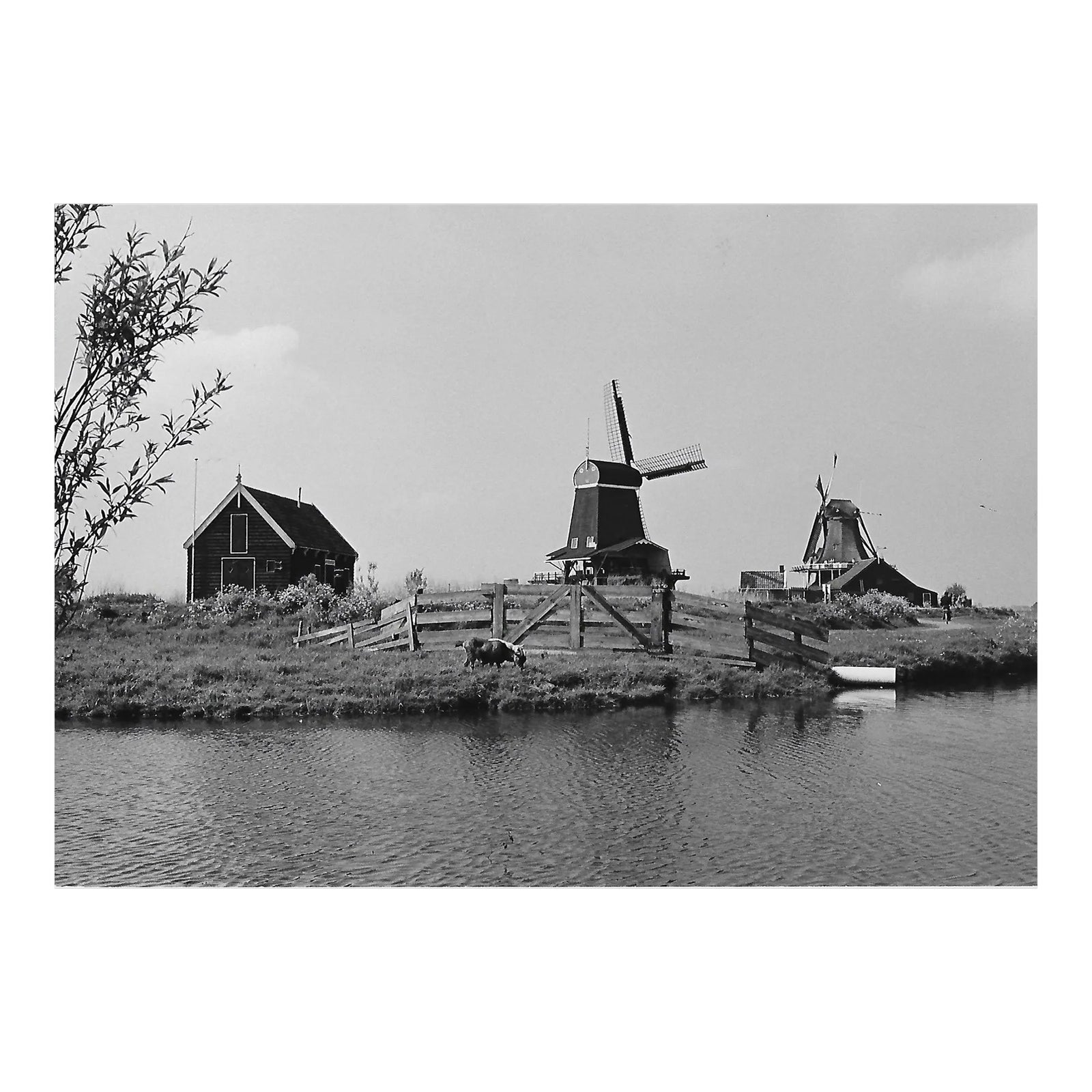Windmills Dutch Photograph by Don Ware | Chairish