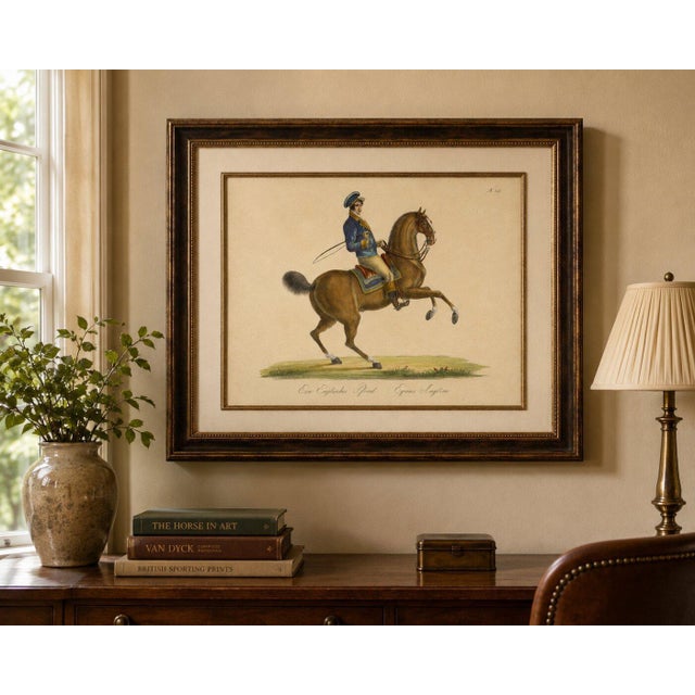 Brodtmann, Horse Equus Angliae, 1816, Paper | Chairish