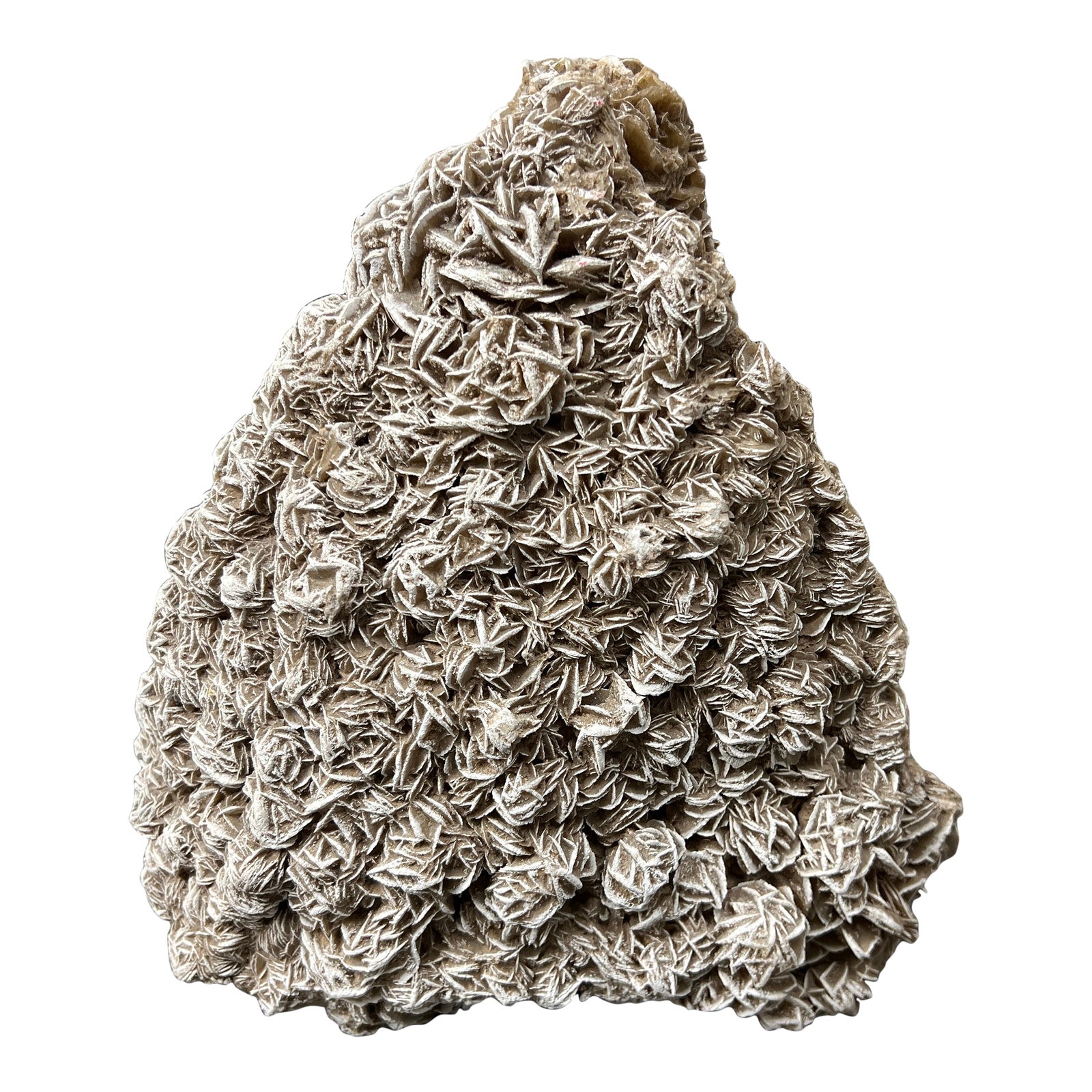 Organic Desert Rose Gypsum Selenite Cluster, Massive | Chairish