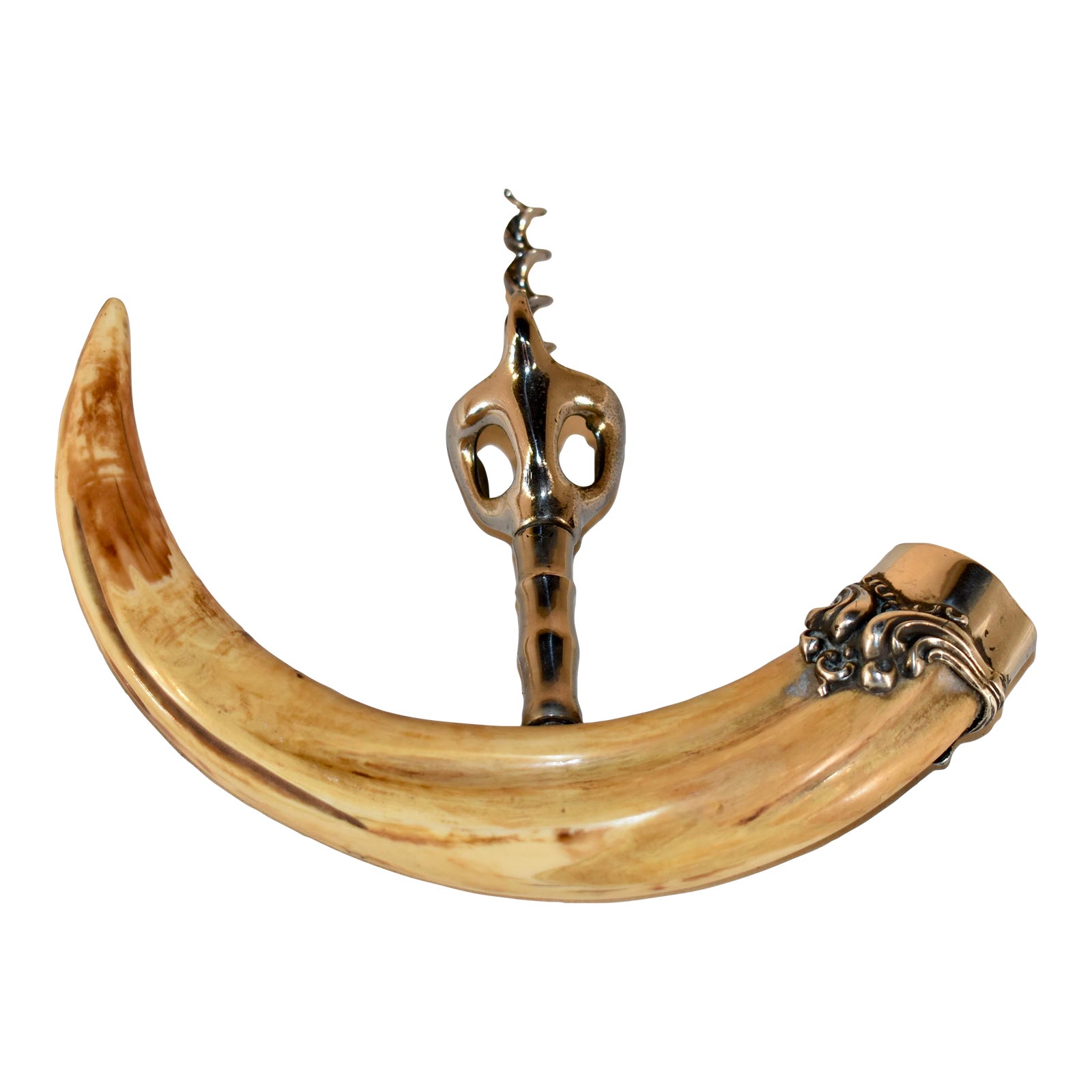 Late 19th Century Boar's Tusk Corkscrew | Chairish