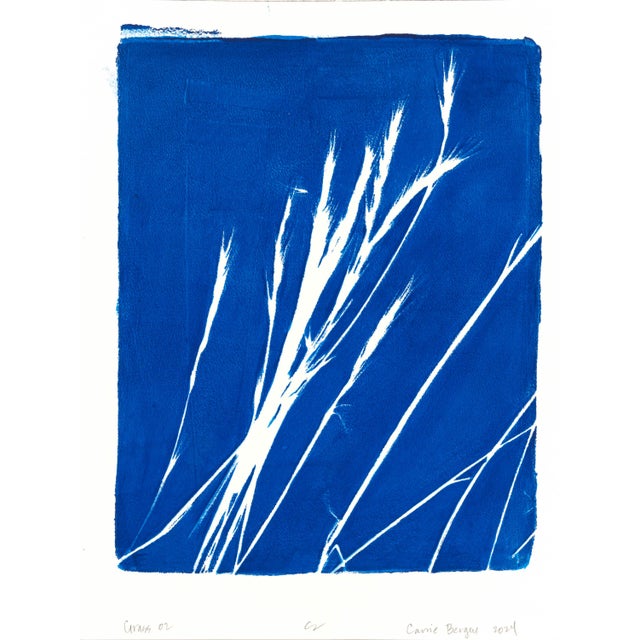 Lobos Grass Monoprint Paintings Original Modern Abstract Blue White Art ...