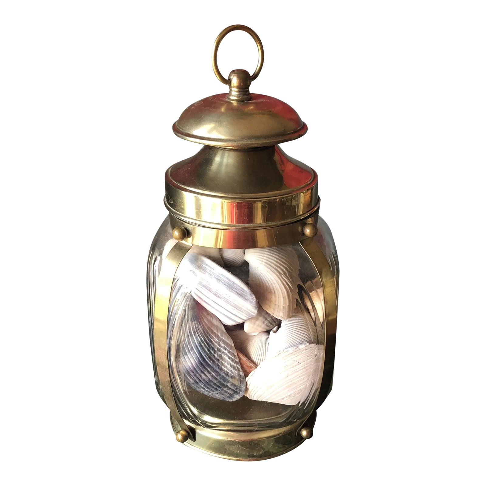 Brass and Glass Nautical Shells Collection in Vase | Chairish