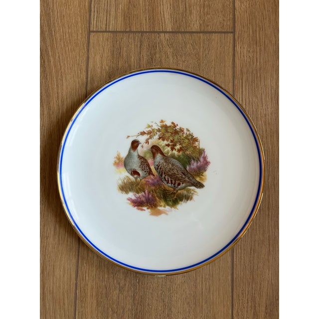 Late 19th Century Pair of German Bird Plates | Chairish