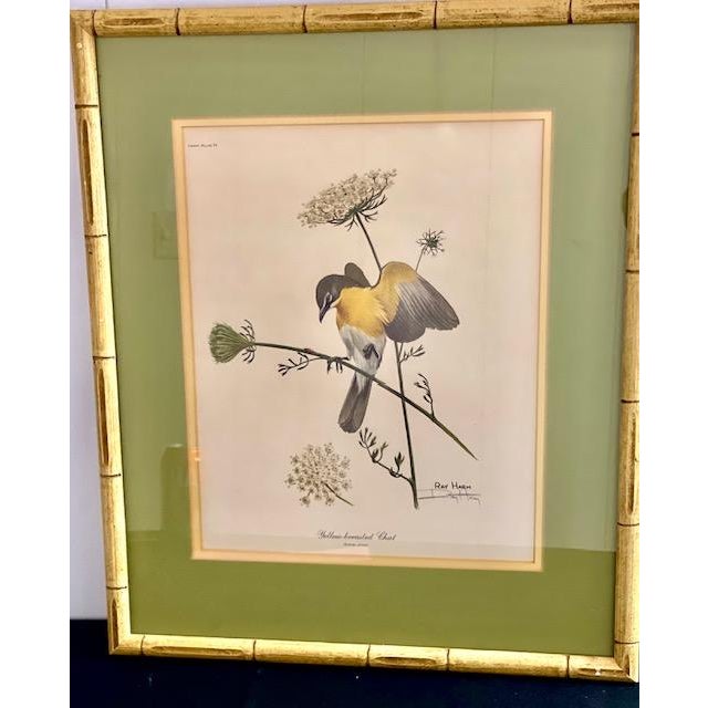 Ray Harm Vintage Bamboo Framed Bird Lithographs - Signed Pair | Chairish