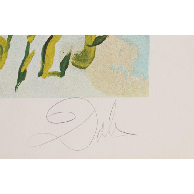 Salvador Dali, "Ten of Staves" From the Tarot Series, Original ...