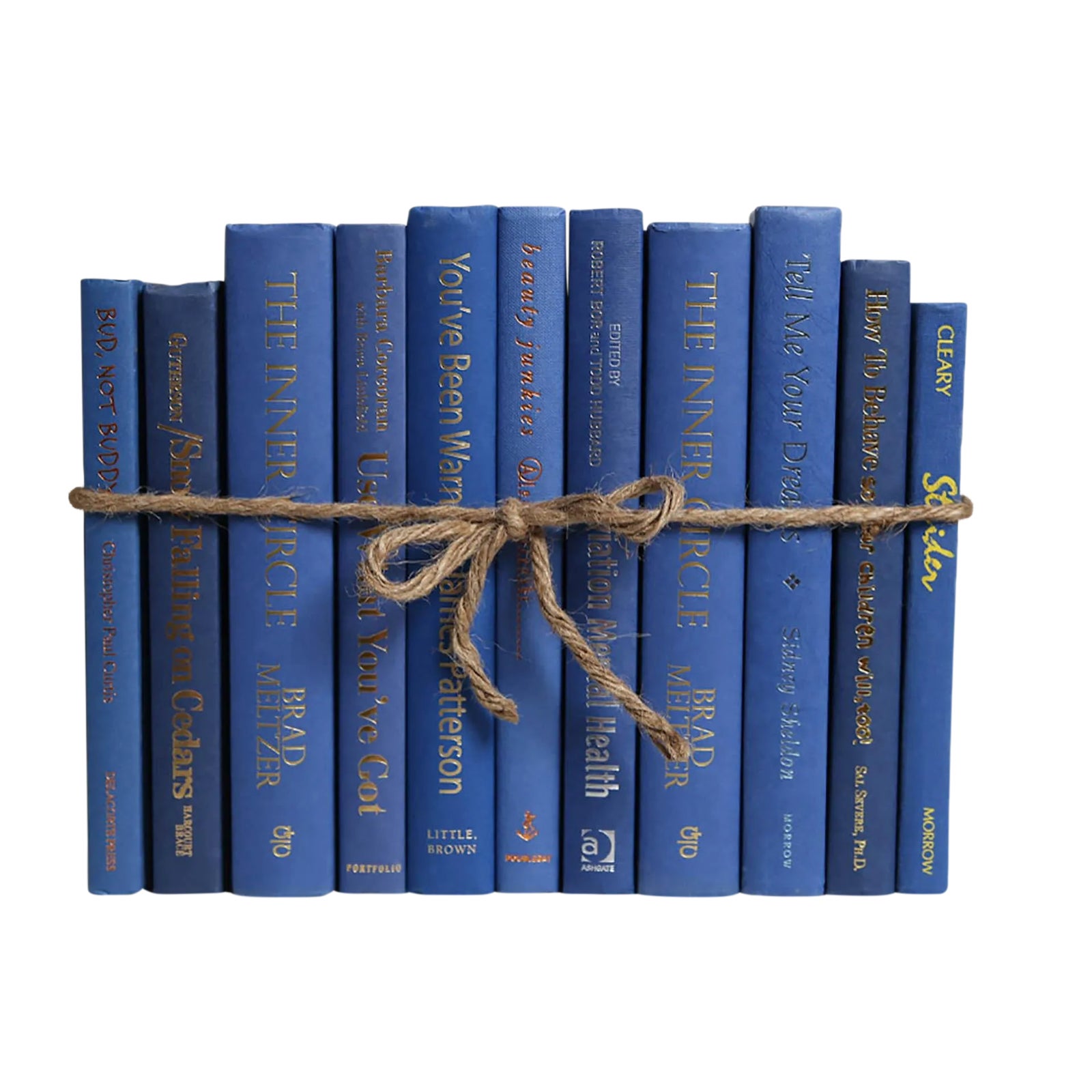 Decorative Books - Blue Jay Book Bundle - 1 Foot of Blue Books | Chairish