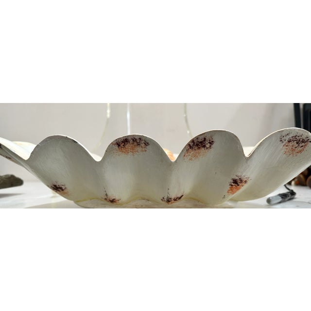 Large 1990s Wooden Hand Painted Decorative Clamshell | Chairish