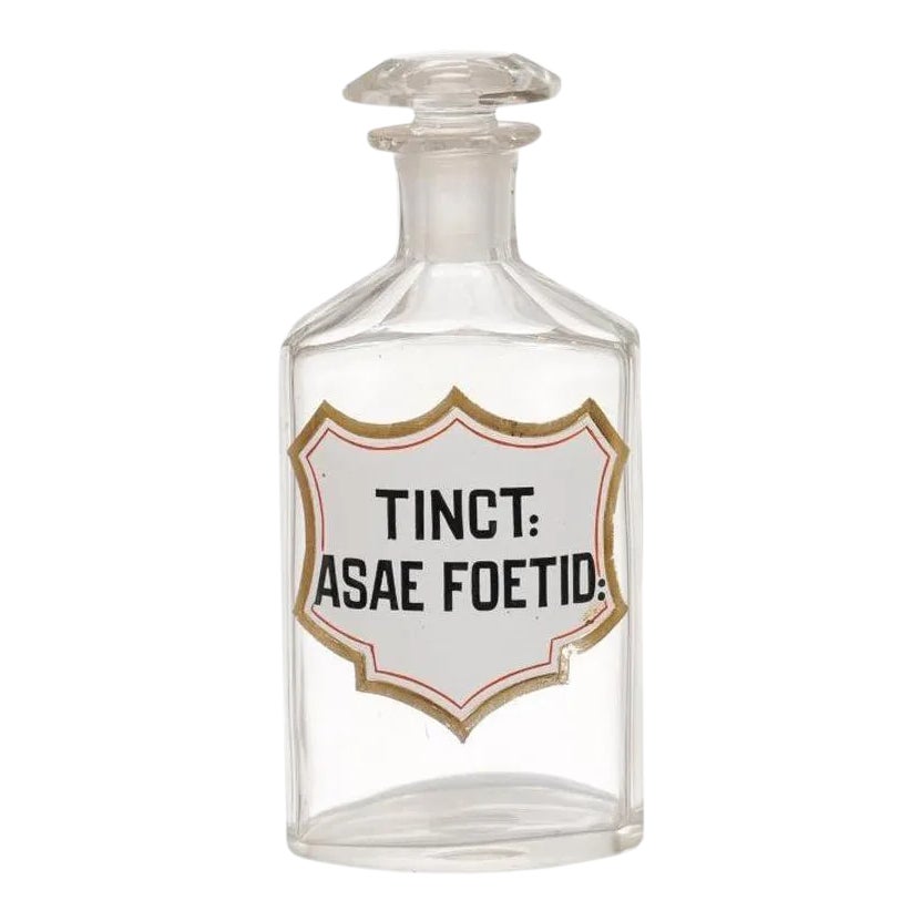 1840s French Louis-Philippe Period Glass Apothecary Jar with Latin ...
