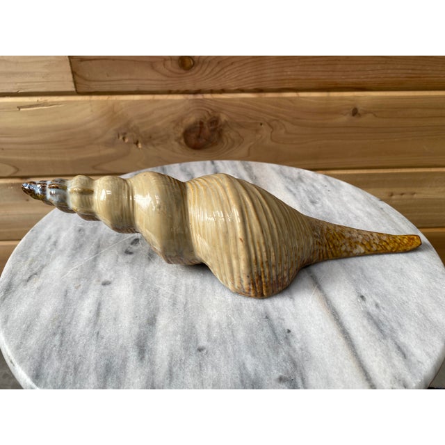 Ceramic Drip Glaze Conch Sea Shell Pottery | Chairish