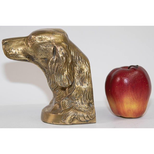 Vintage Cast Brass Sculpture of Beagle Dog Bust Bookend Paperweight ...