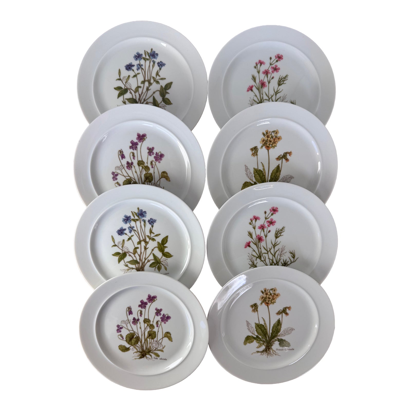 1980s Botanical Wildflower Side Plates- Set of 8 | Chairish