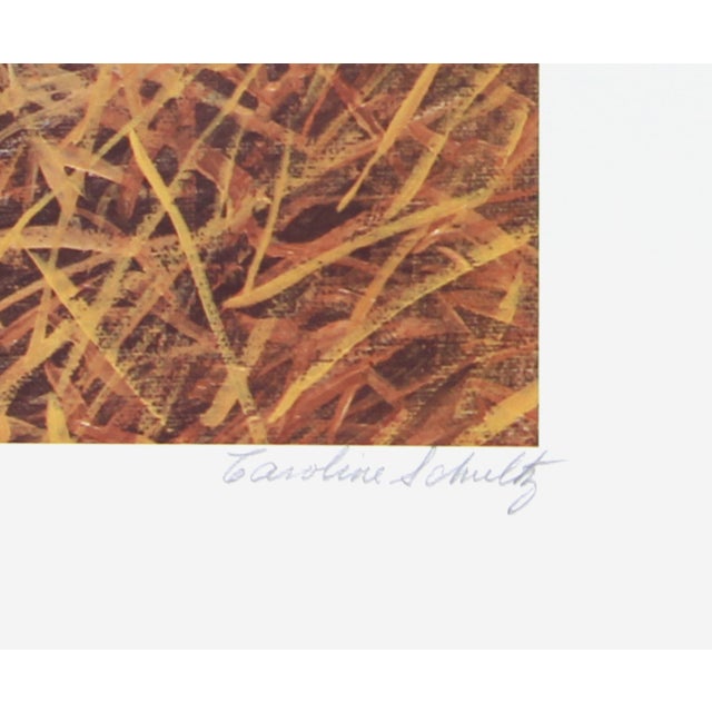 Caroline Schultz Lithograph - Ngorongoro Lion | Chairish
