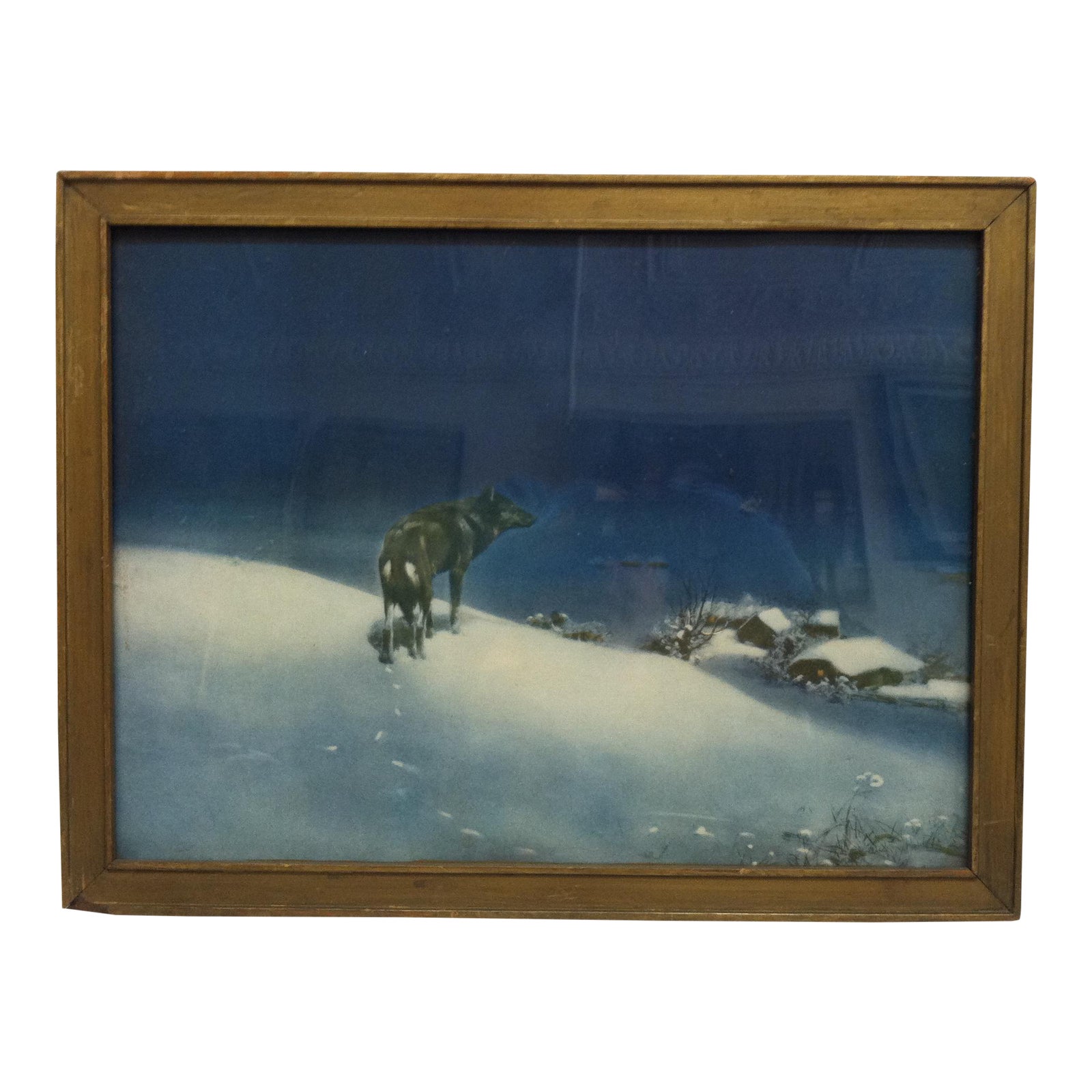 1930s Vintage Framed "Lone Wolf" Original Color Print | Chairish