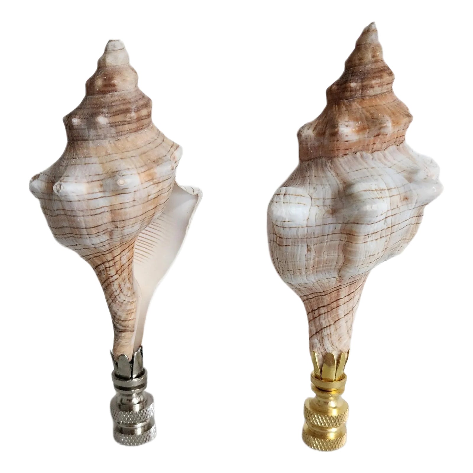 Pair of White Spindle Sea Shell Lamp Finials, Set of 2, Chrome Base ...