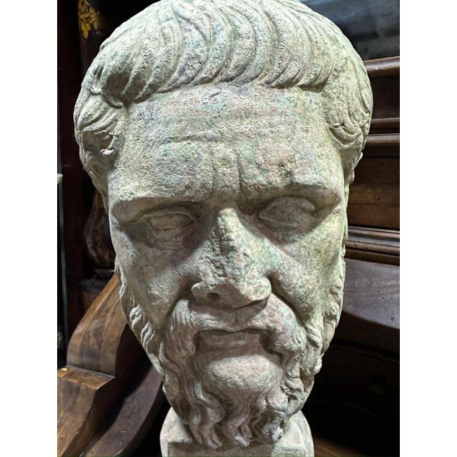 plato head