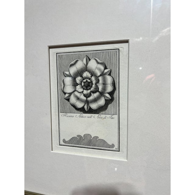 Set of 12, 18th Century Italian Roman Architectural Rosettes by Carlo ...