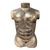 Mid 20th Century Carved Solid Wood Male Torso Sculpture | Chairish