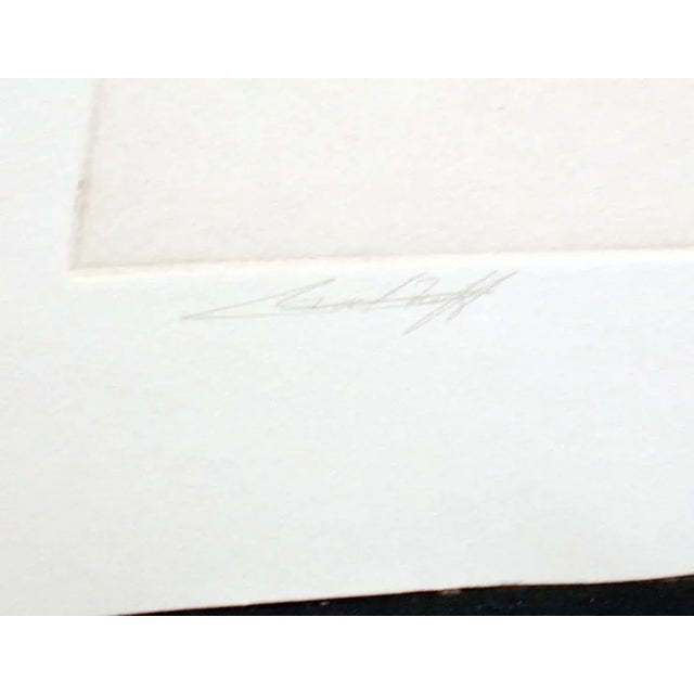 1970s "Grazing" Sepia Toned Etching by Chad Neff | Chairish