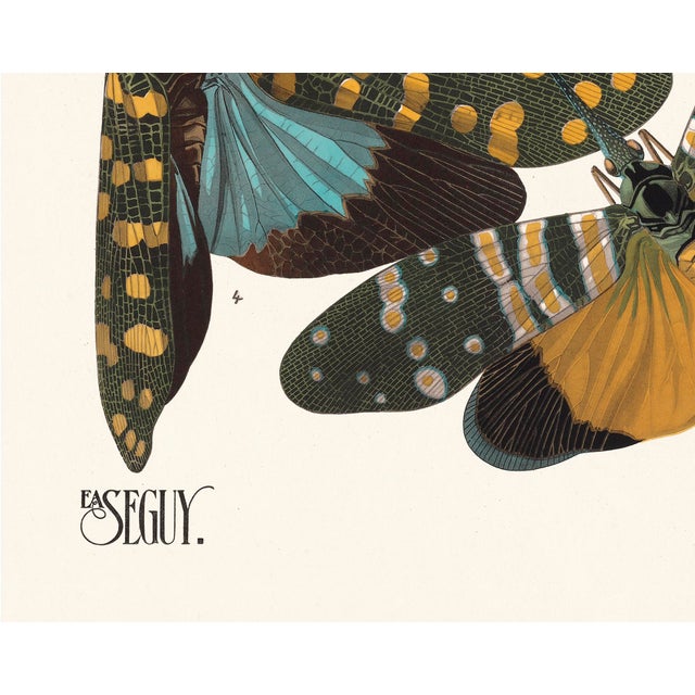 Insects Giclee Reproduction Art Print by Emile-Allain Seguy | Chairish