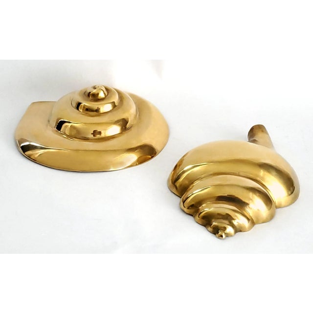 Sculptures Brass Shells Seashells | Chairish