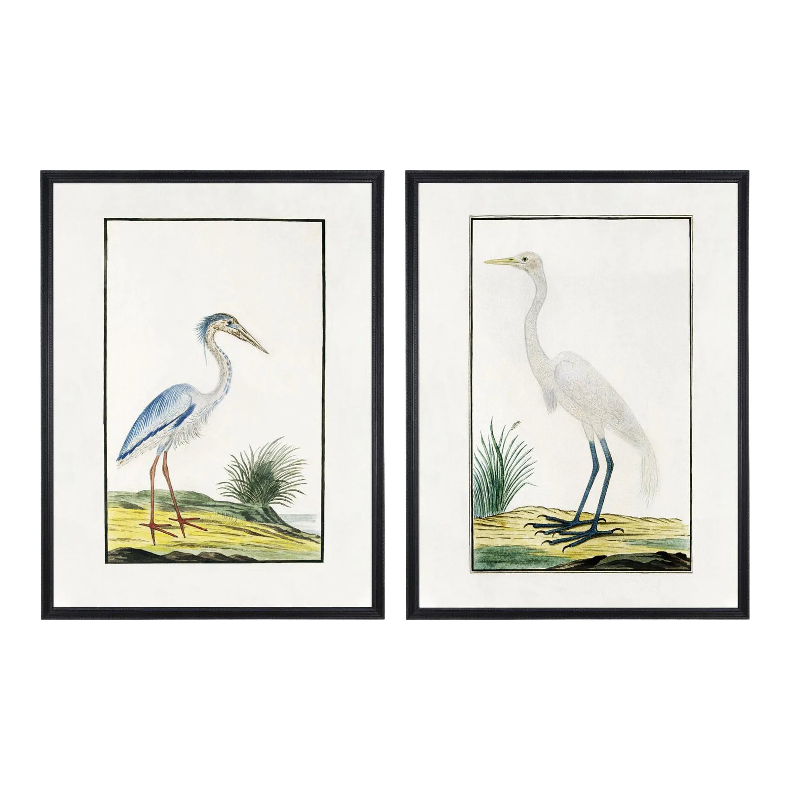 Crane Bird Prints - A Pair | Chairish