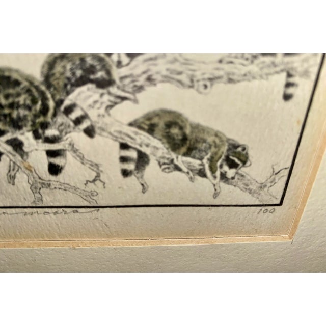 “Raccoons” Miniature Pencil Signed and Numbered Litho by Benson Moore ...