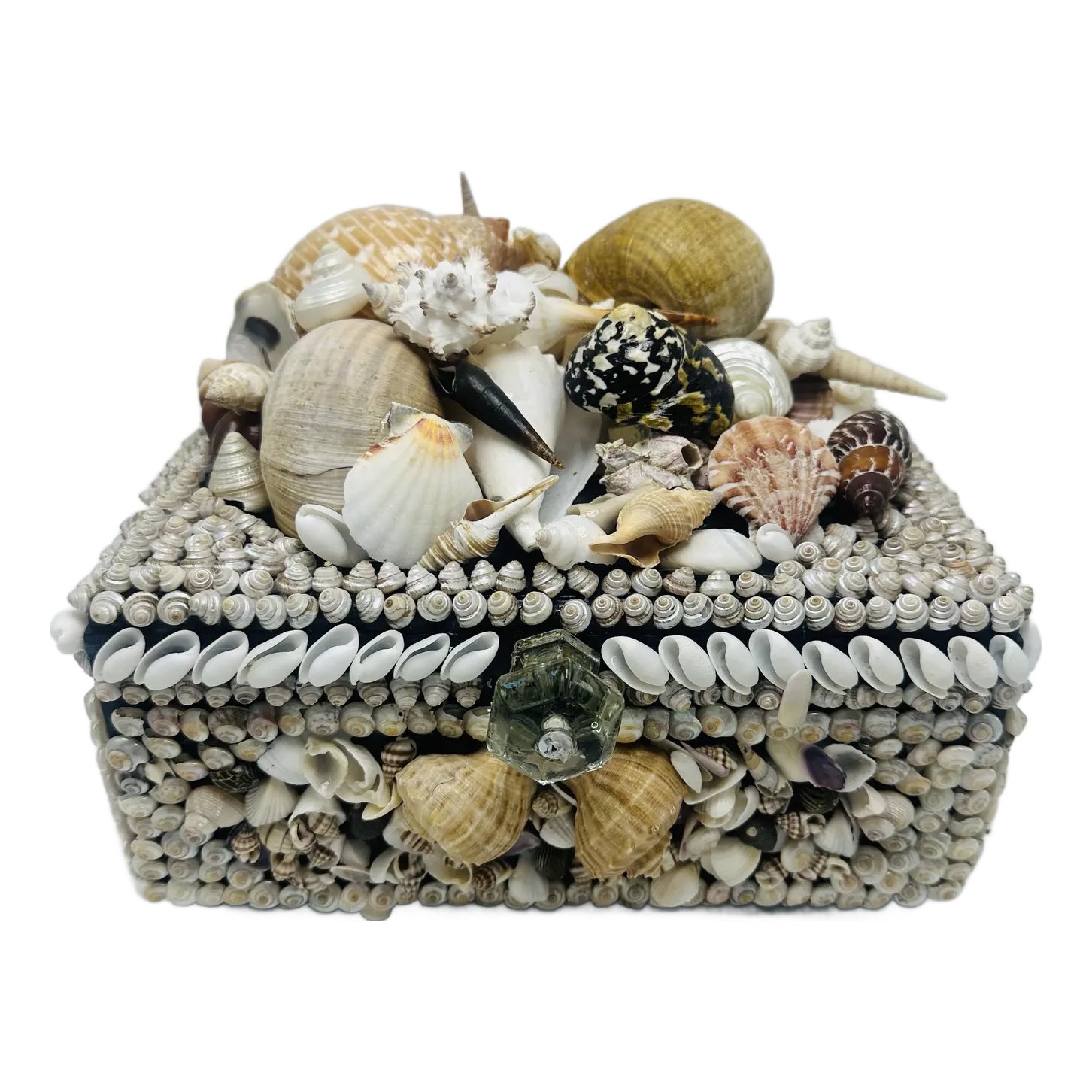 Large Vintage Shell Box, Hand Crafted | Chairish