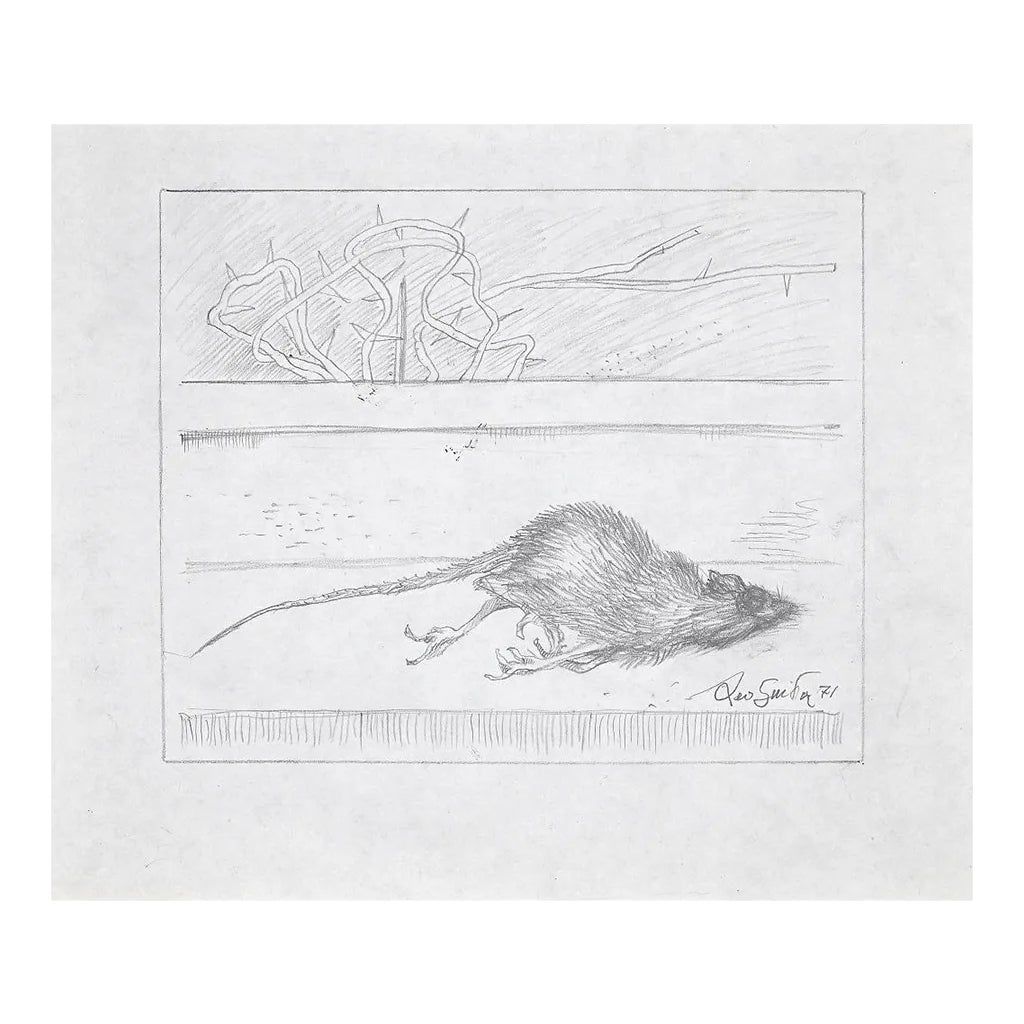 Leo Guida, Dead Rat, Pencil Drawing, 1971 | Chairish